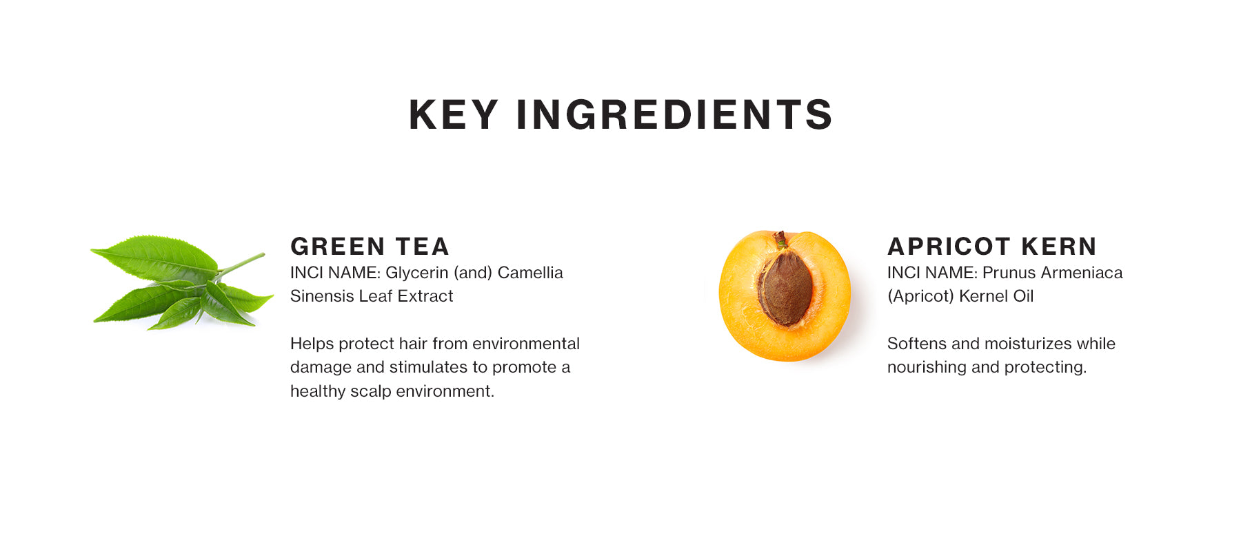 NEU STYLING TEXTURIZER – Neuma Research