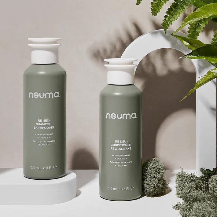 Re Neu Duo – Neuma Research